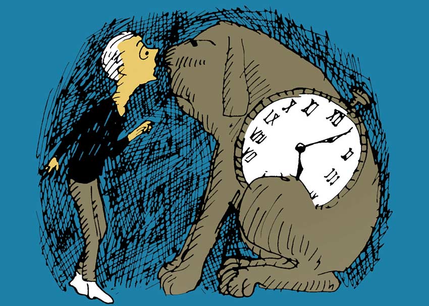 16 Great Chapter Books For Third Graders Brightly