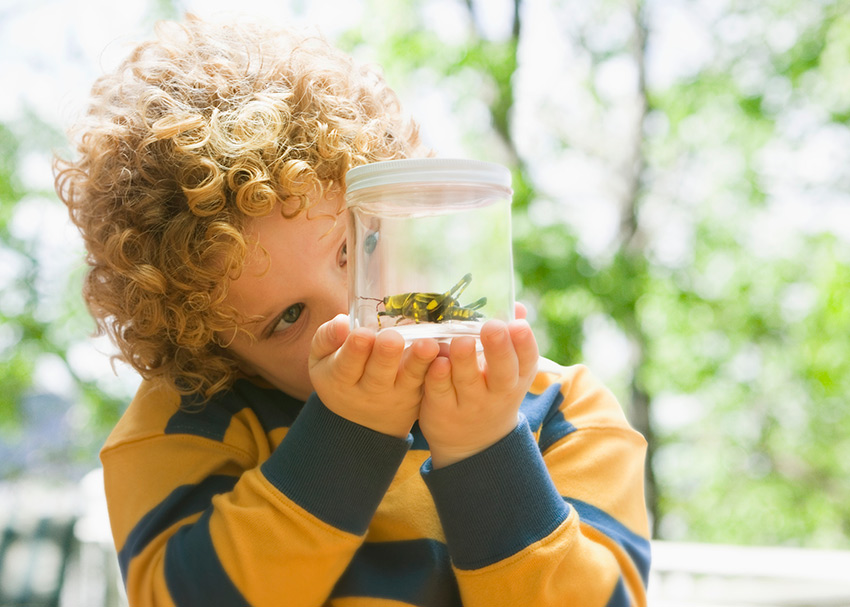 Perfectly Buggy Insect Books for the Classroom | Brightly