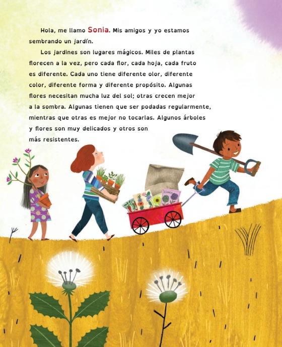 ¡Solo pregunta! by Sonia Sotomayor: 9780525515500 | Brightly Shop