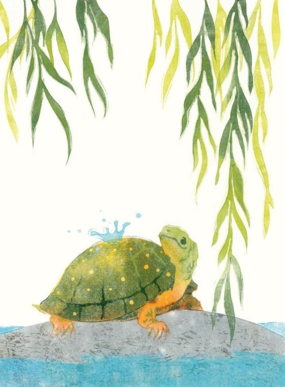 I'd Like to Be the Window for a Wise Old Dog by Philip C. Stead ...