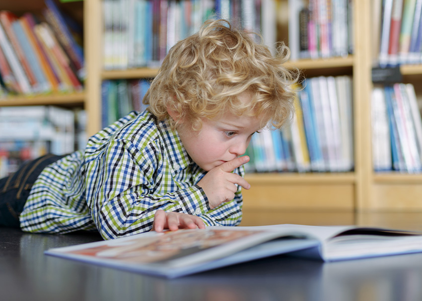 4 Ways To Use Seek-and-Find Books To Build Early Literacy Skills | Brightly