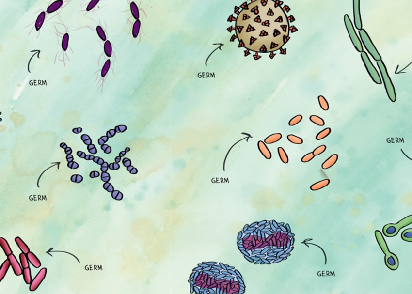 Brightly | Helping Parents Grow Lifelong Readers